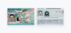 Green Card Photo: Requirements, Examples, and Tool [2024]